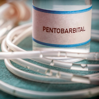 Execution to Proceed Despite Lethal Injection Lawsuit - TBA Law Blog